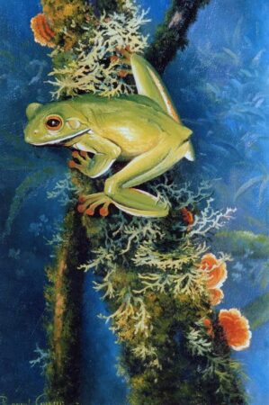 FROG OVER POND - Robyn Collier | Robyn Collier Art