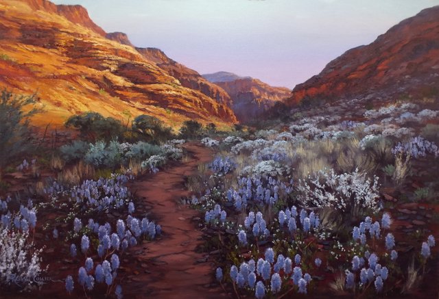 FLOWERING MULLA MULLA - Robyn Collier | Robyn Collier Art