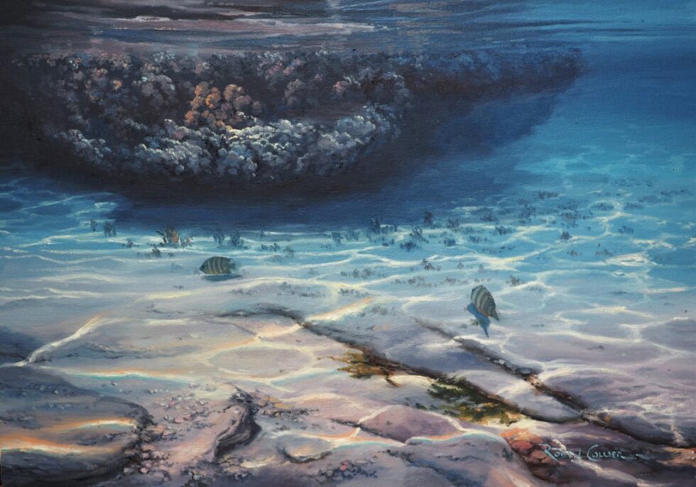 BENEATH THE SURFACE - Robyn Collier | Robyn Collier Art