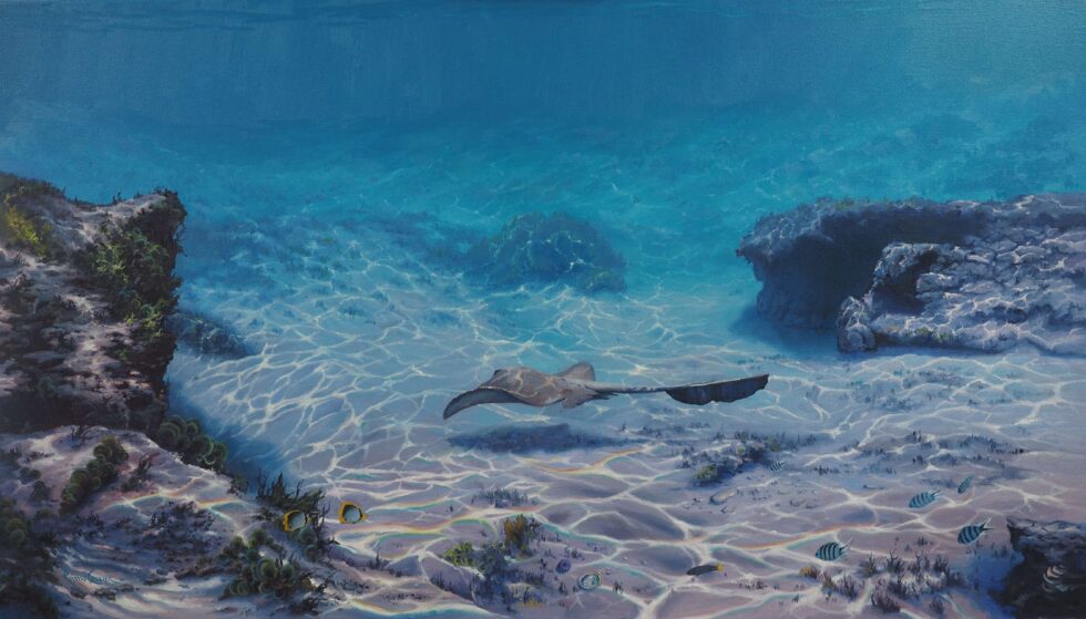 GLIDING THROUGH THE LIGHT - Robyn Collier | Robyn Collier Art